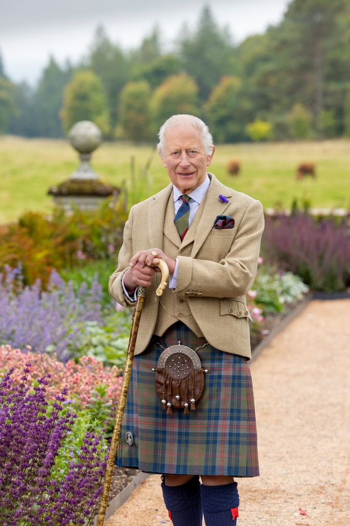 King Charles pictured with walking stick in regal new portrait from ...