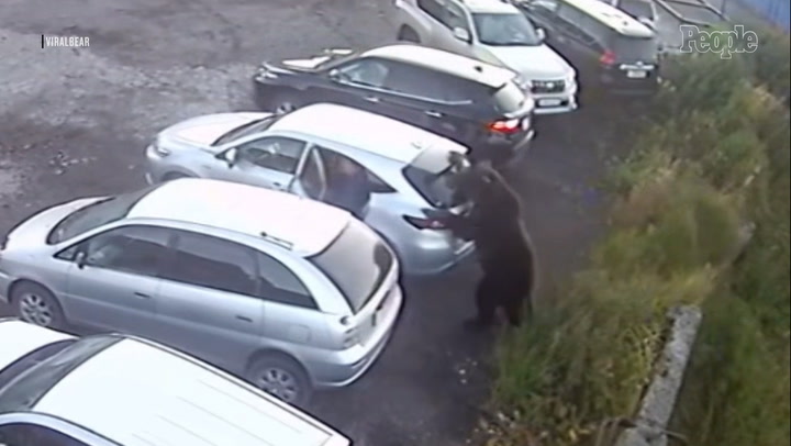 Man Narrowly Avoids Getting Mauled by a Charging Bear While Walking to ...