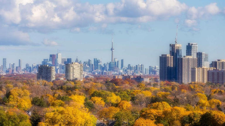 This weekly fall forecast for October reveals when Ontario's weather ...