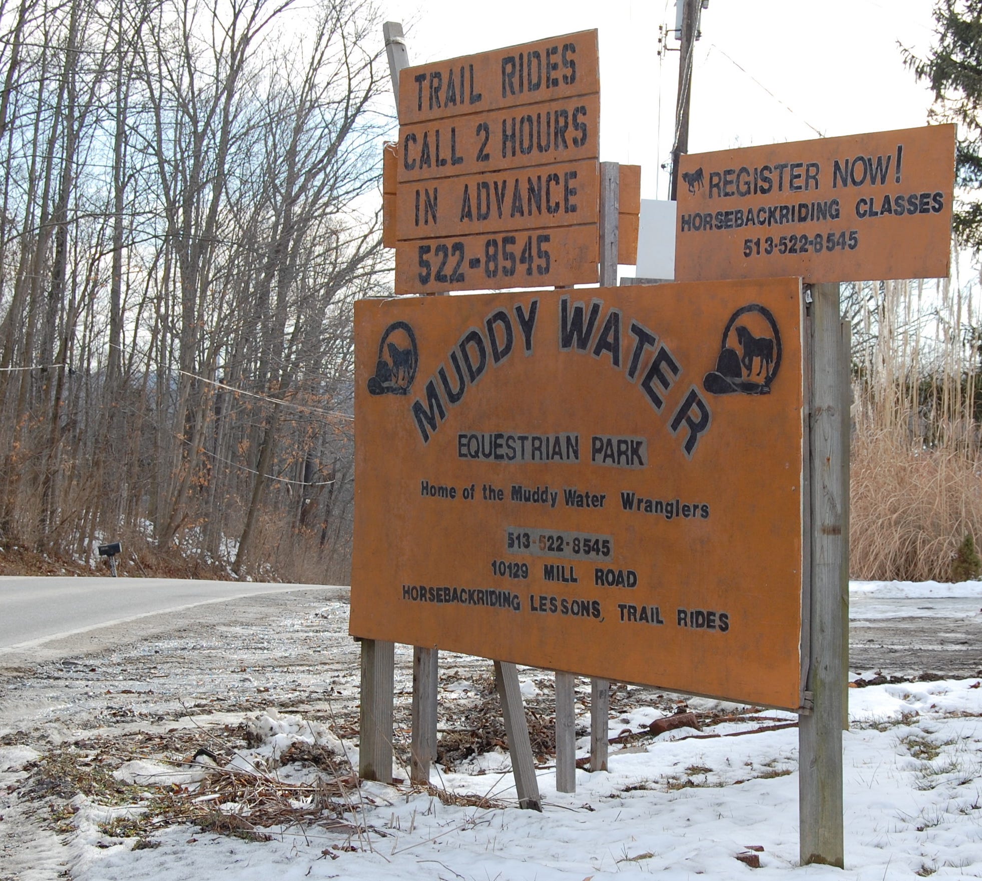Man charged after horses faced 'torture' at Springfield Twp. riding ...