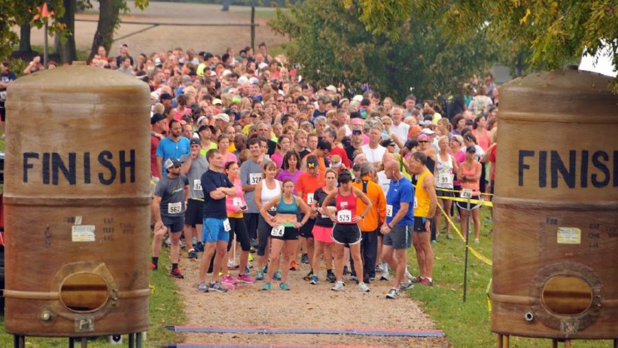 Fenn Valley hosts 5K through West MI lakeshore vineyard