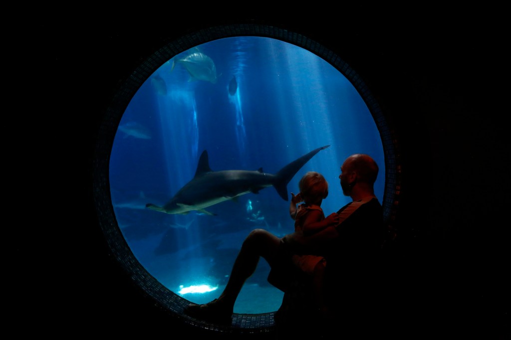 5 Fun-Filled Places in Hawaii to Take Kids (That Parents Will Love, Too)