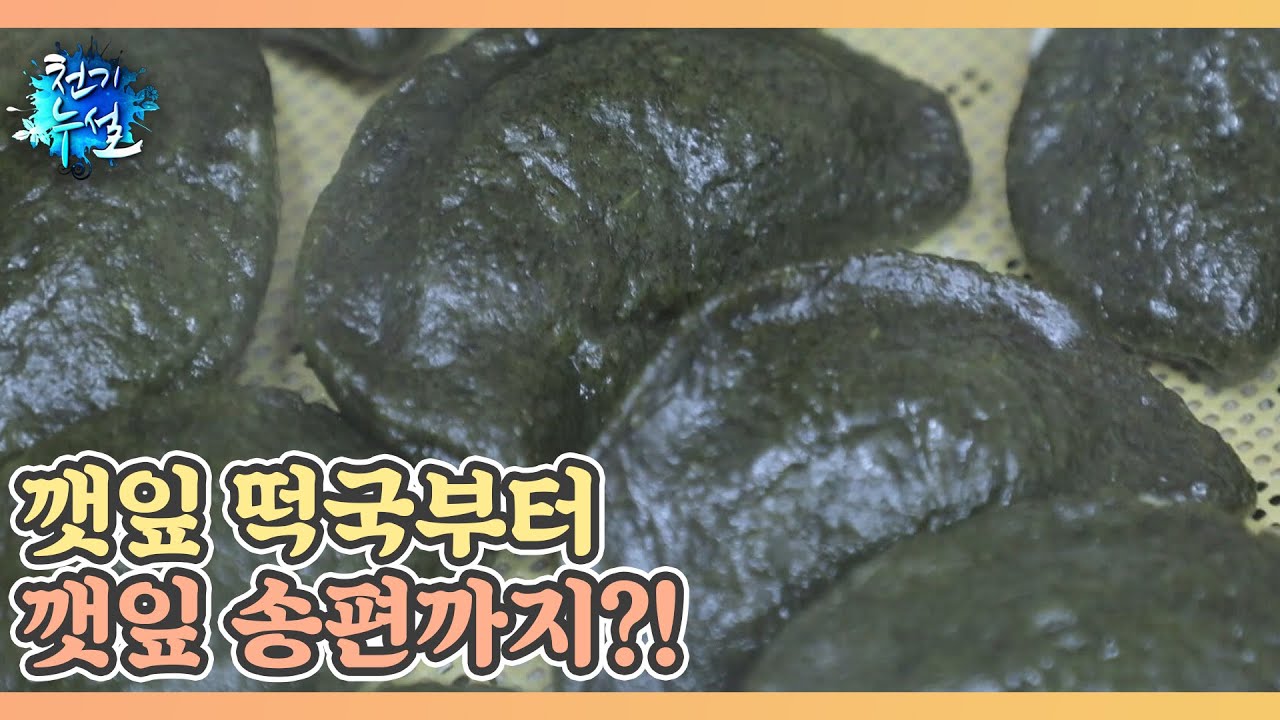 깻잎 활용법 레시피 대방출! MBN 250926 방송