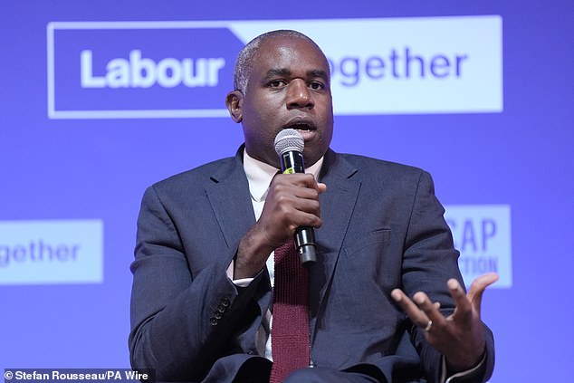 David Lammy would 'go to bookies and put money on' Labour being in ...