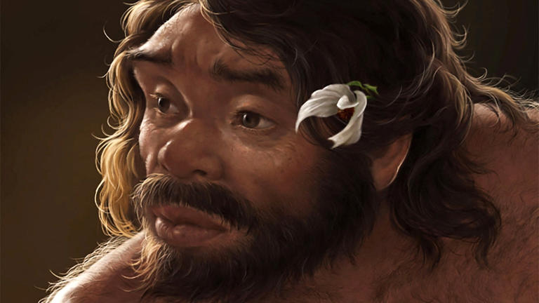 Million-year-old skull could rewrite timeline of human origin ...