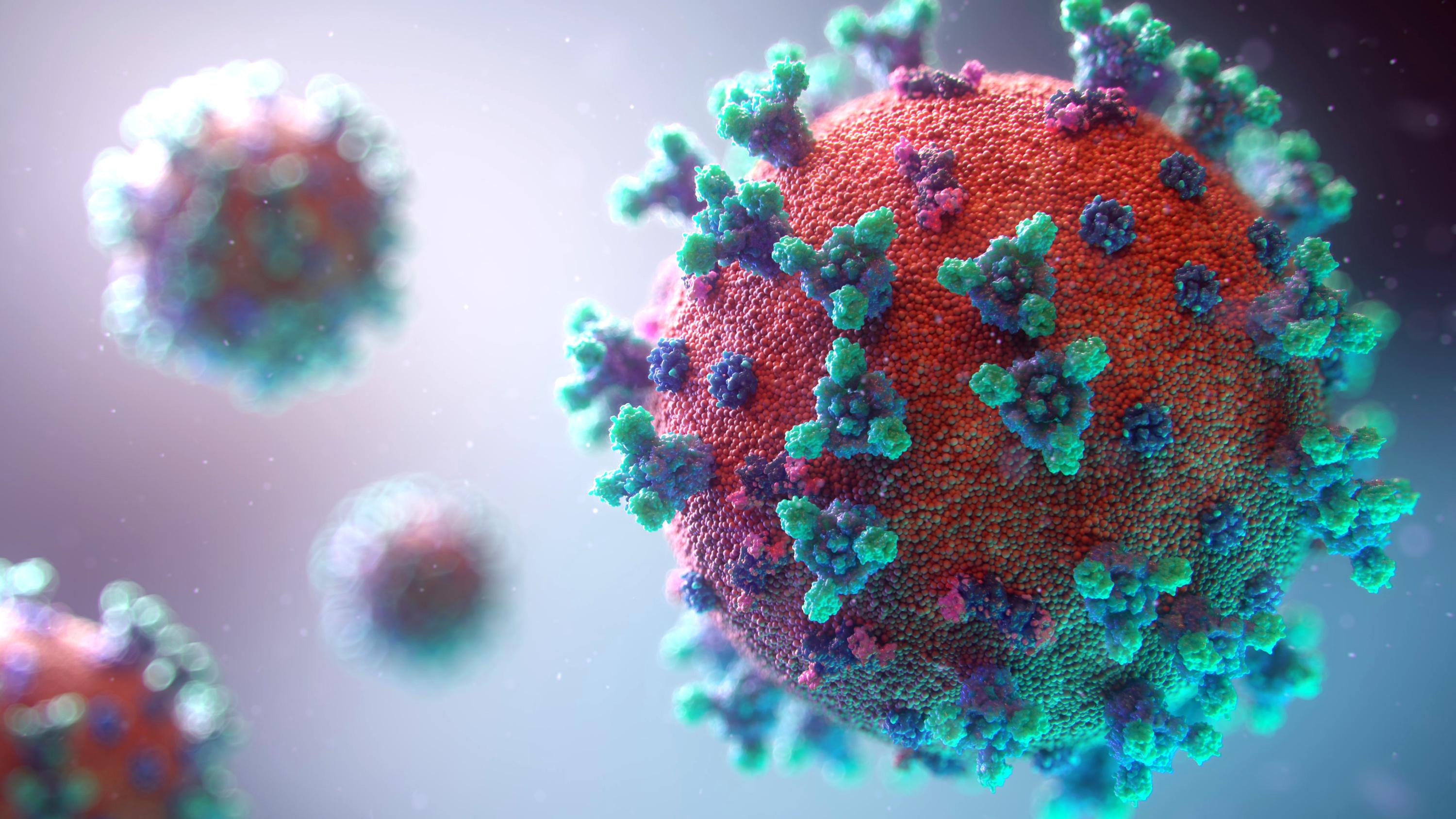 Un nouveau variant du Covid : ce que l’on sait du virus «Frankenstein ...