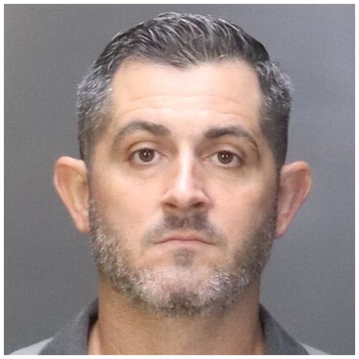 Convicted sex offender arrested again on charges of sexually assaulting ...