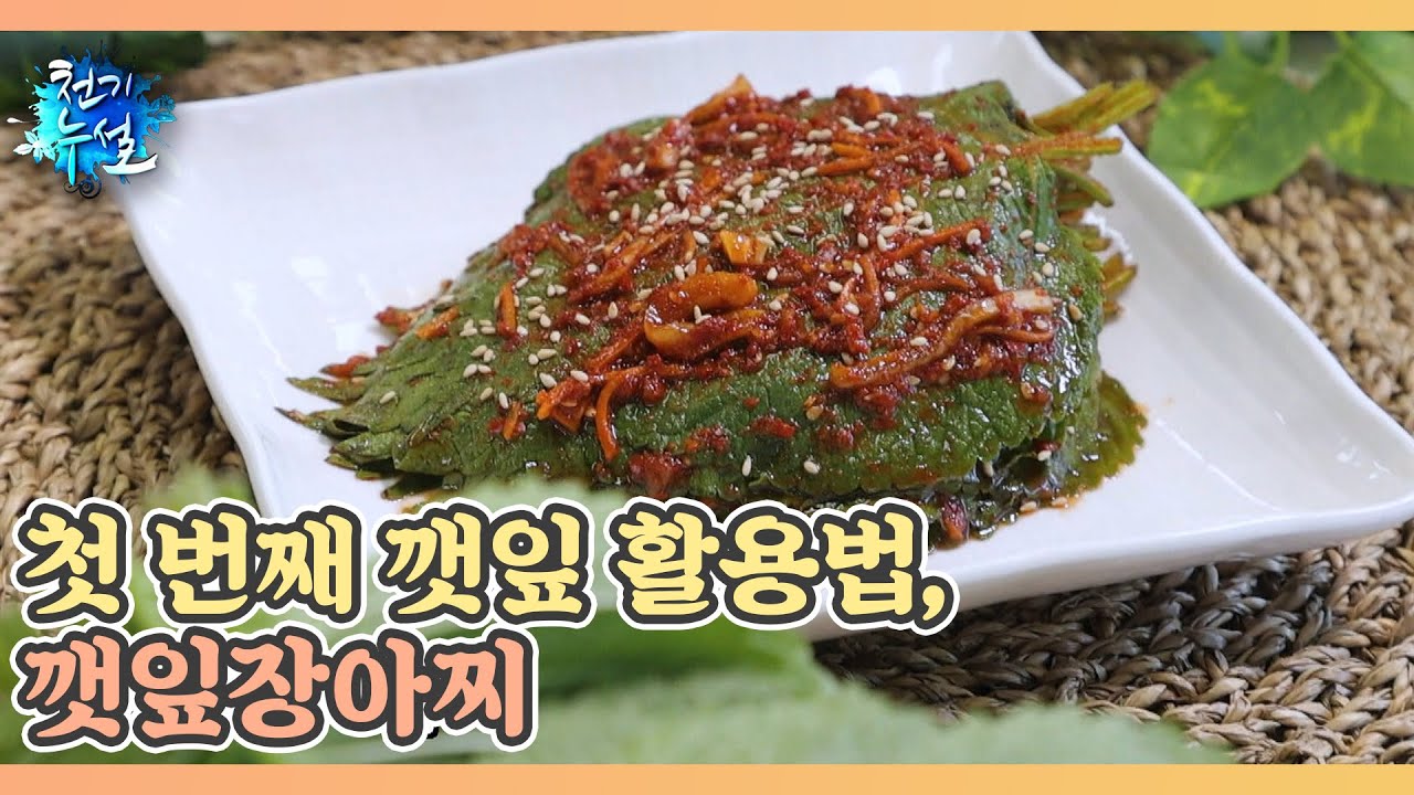 한국인만 먹는 토종 허브! 그린푸드 깻잎 MBN 250926 방송