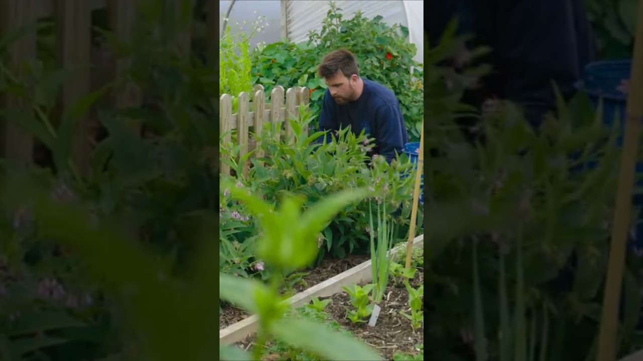 A Simple Genius Composting Trick For Gardeners