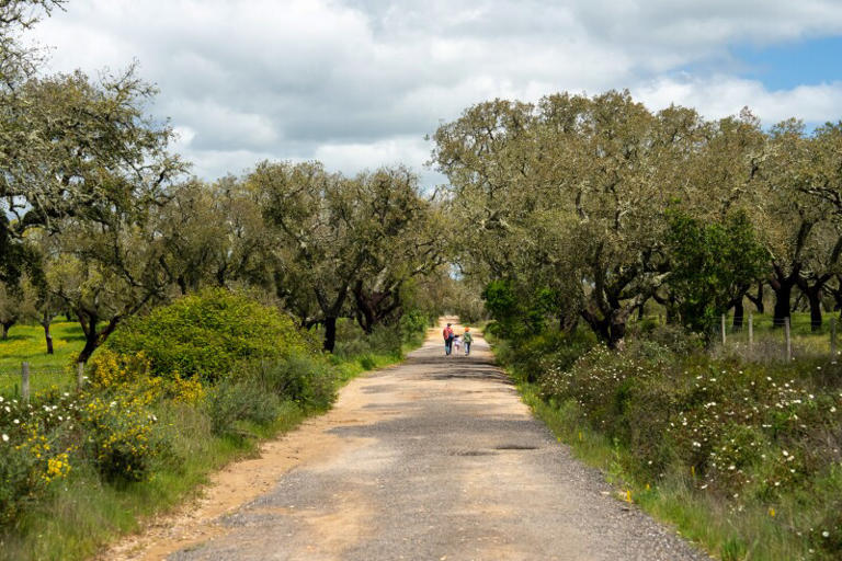 Portugal's Most Beautiful Places Without Crowds