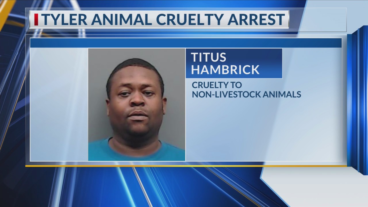Arrest made after dog found dead, another severely emaciated at Tyler ...