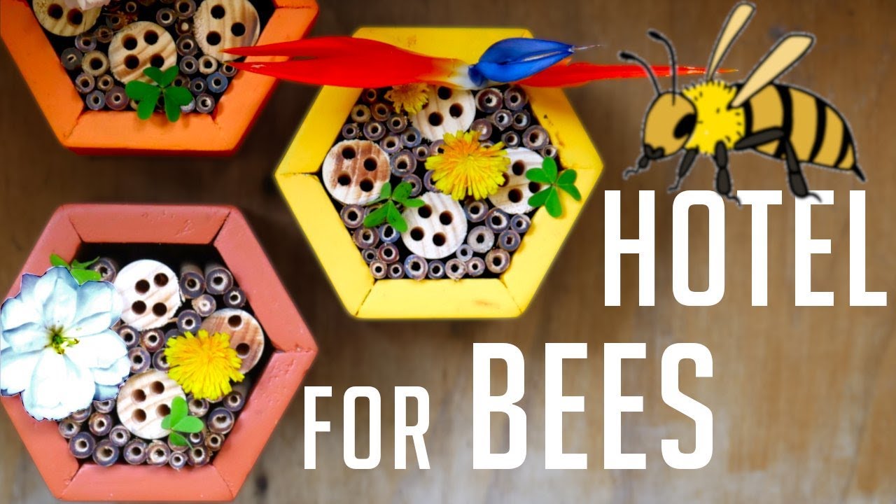 My bee hive brings all the bees to the yard