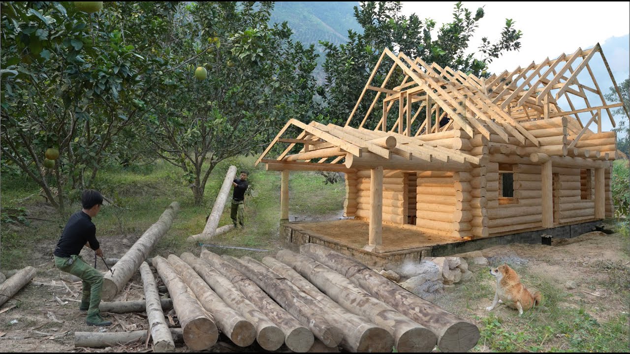 From forest to home: Collecting wood & building a dream house