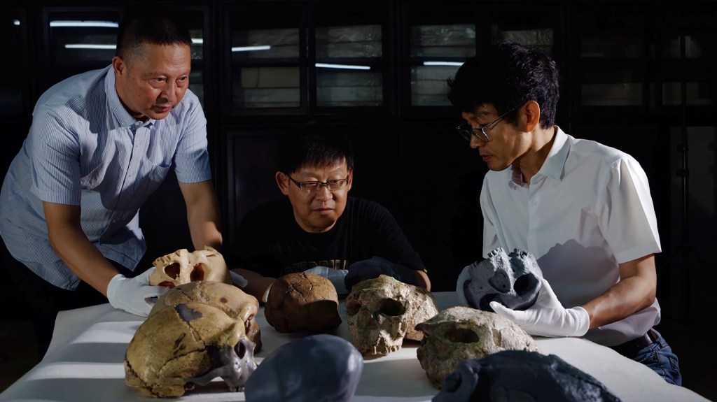 Ancient skull discovery suggests modern humans are hundreds of years ...
