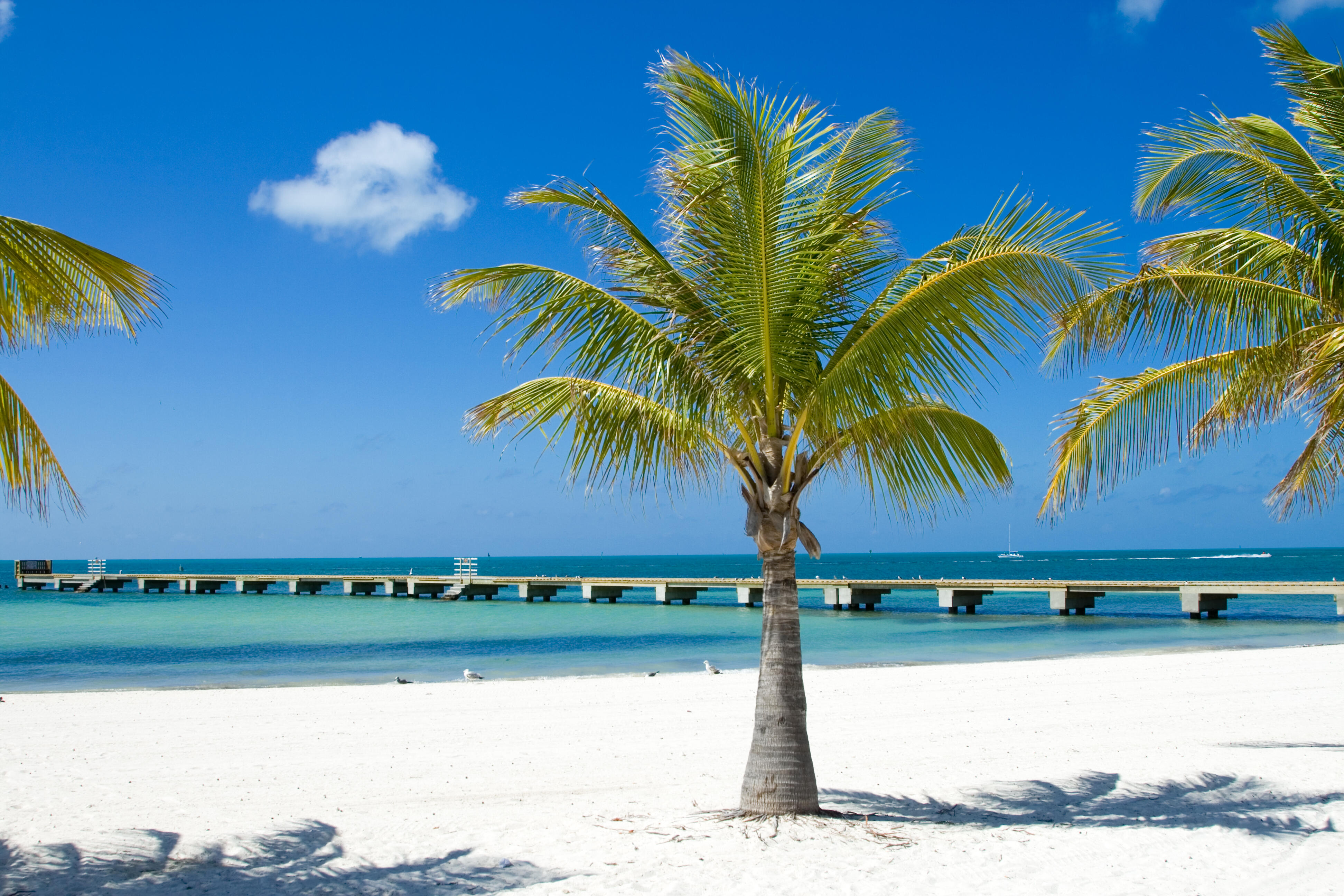 Anna Maria City Pier To Be Rebuilt After Hurricane Damage