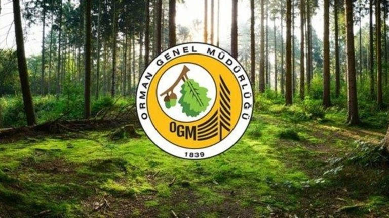 Orman Genel Müdürlüğü (OGM) Bünyesine 262 Daimi İşçi Alımı Başlıyor ...