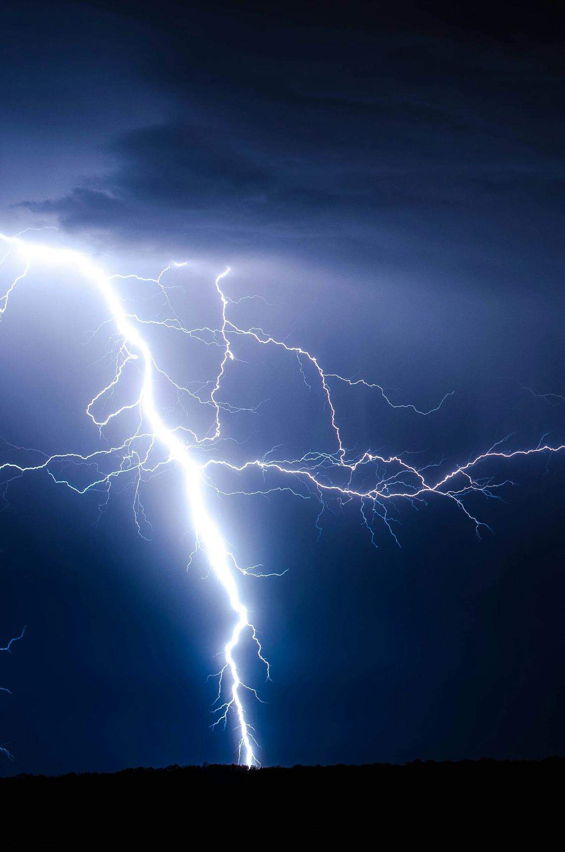 2 Miami men, 2 dogs killed by lightning strike on hunting trip in ...