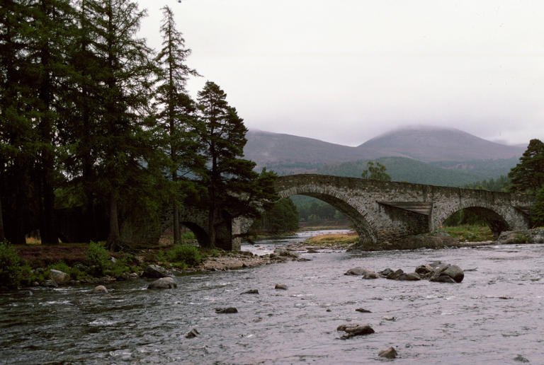 Scotland's five best places to spot amazing wildlife this autumn ...