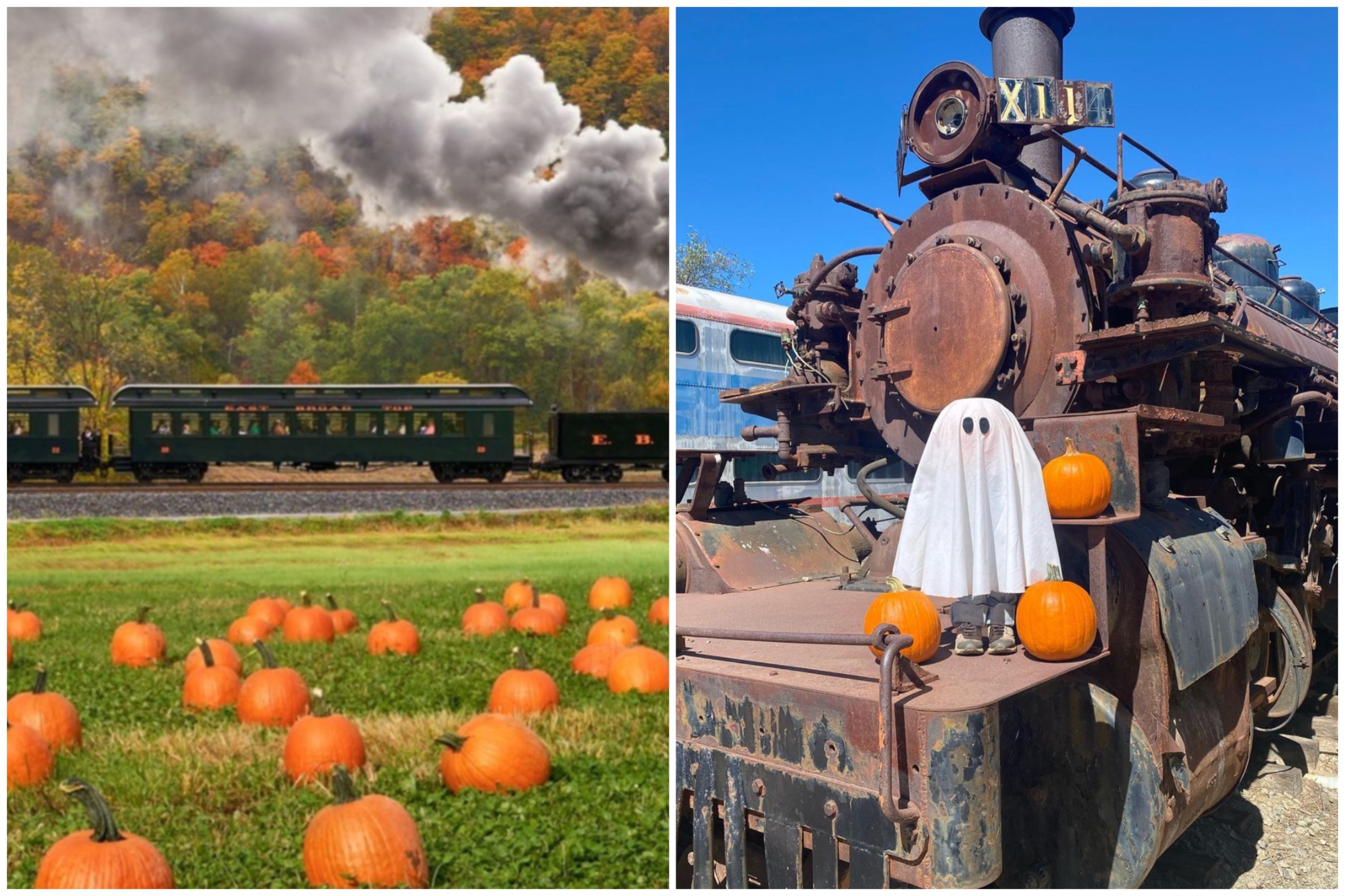 The Pumpkin Express Returns to the Pacific Southwest Railway Museum for Halloween