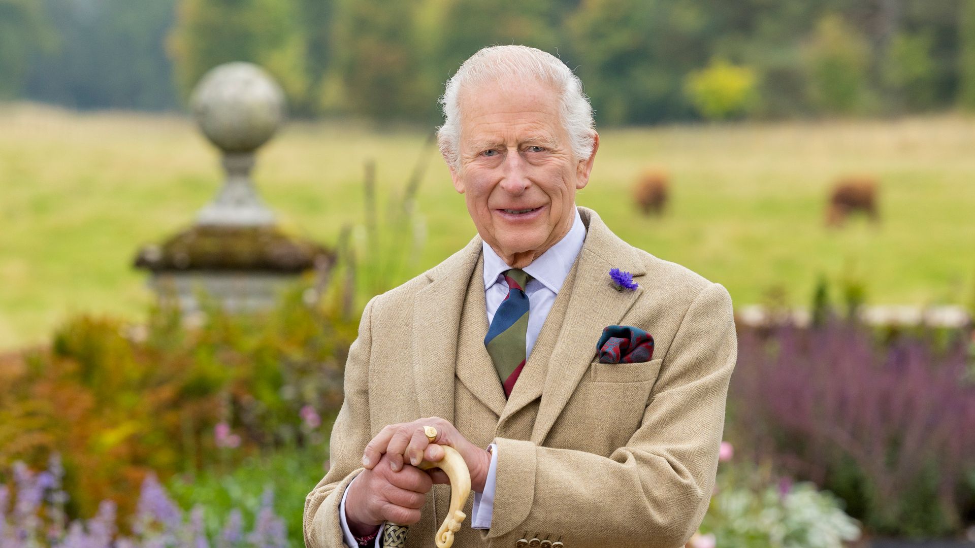 King Charles pictured with walking stick in regal new portrait from ...