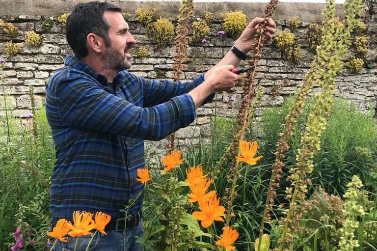 Gardeners' World's Adam Frost reveals 'secret' part of garden dedicated ...