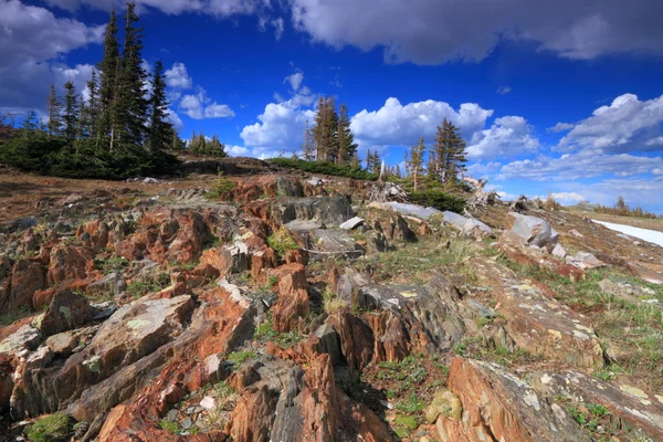 Scenic places in Wyoming beyond Yellowstone