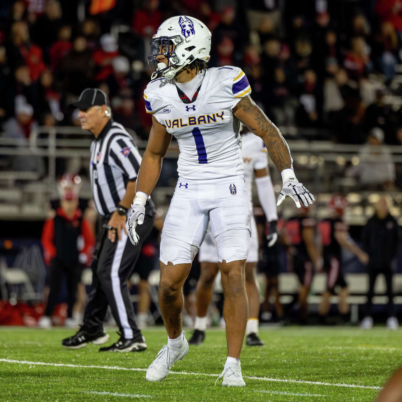 After career-best effort, UAlbany football's Stodghill rolls into CAA ...