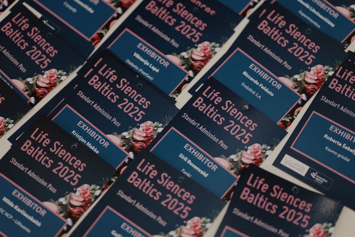 The Baltics: a region punching above its weight on the global life ...