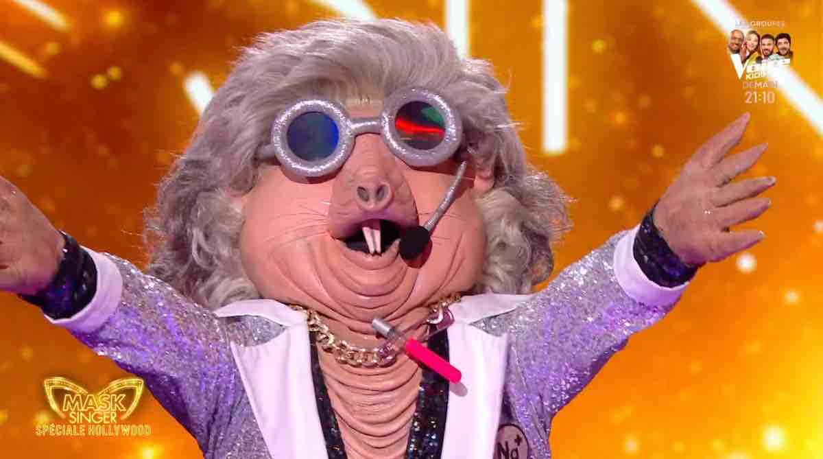 Mask Singer : quelle star se cache sous la Taupe ? Tous les indices et ...