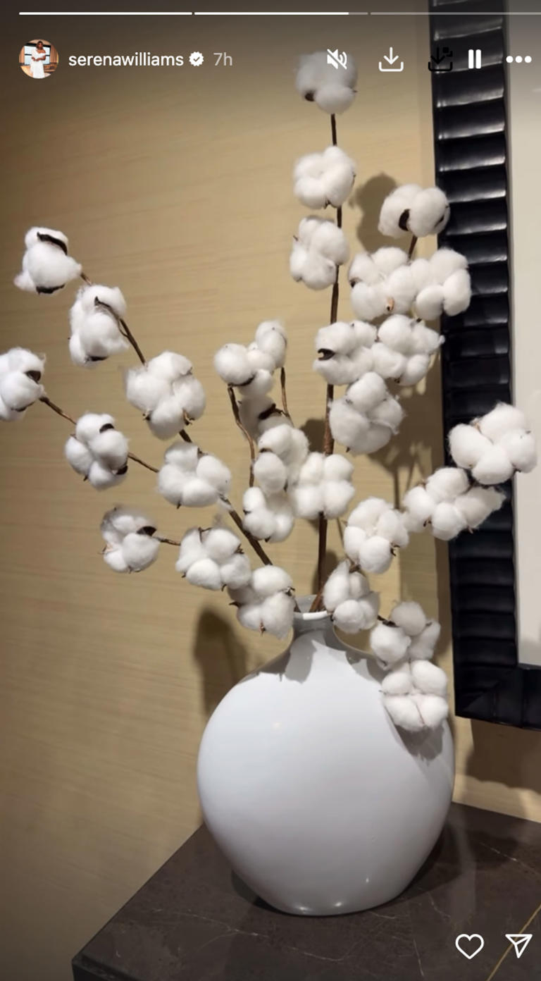 Serena Williams showed off meaningful cotton art piece in Florida home ...
