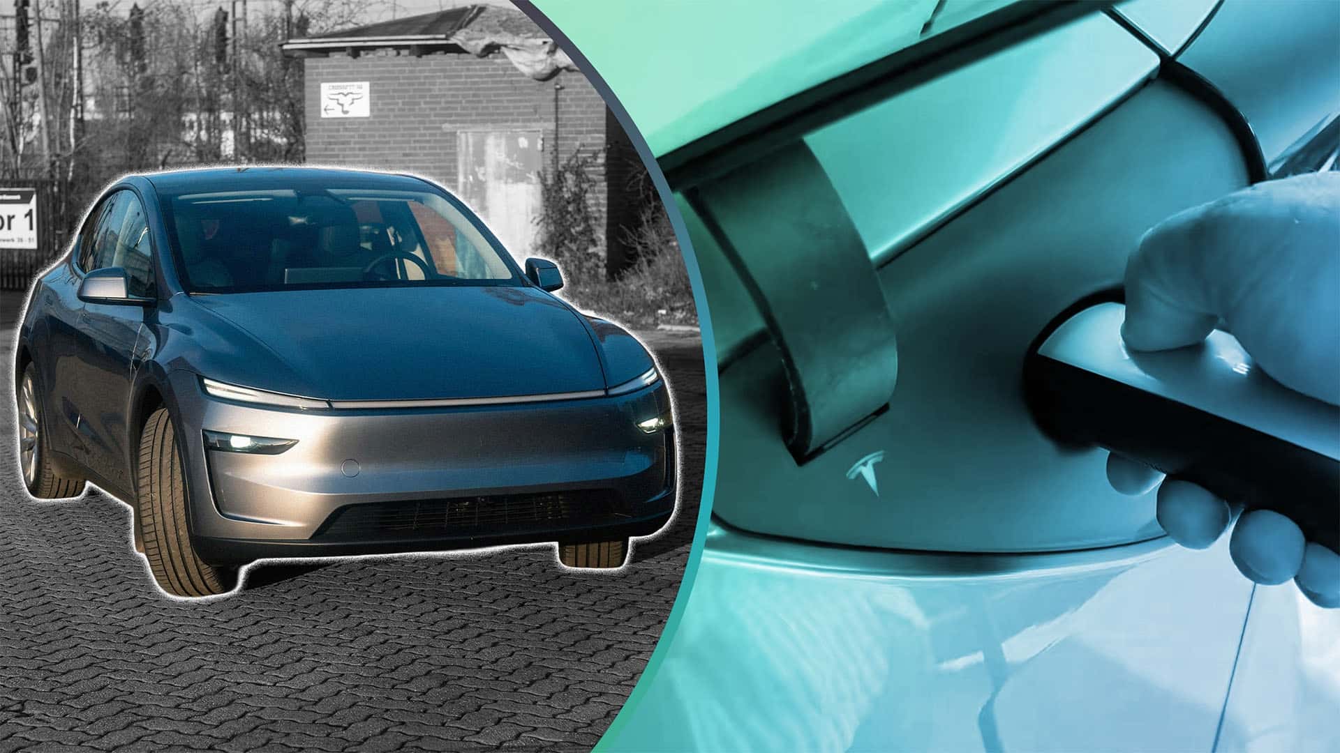 ‘The Tesla Logo Will Go Rainbow Mode’: California Tesla Model Y Driver ...