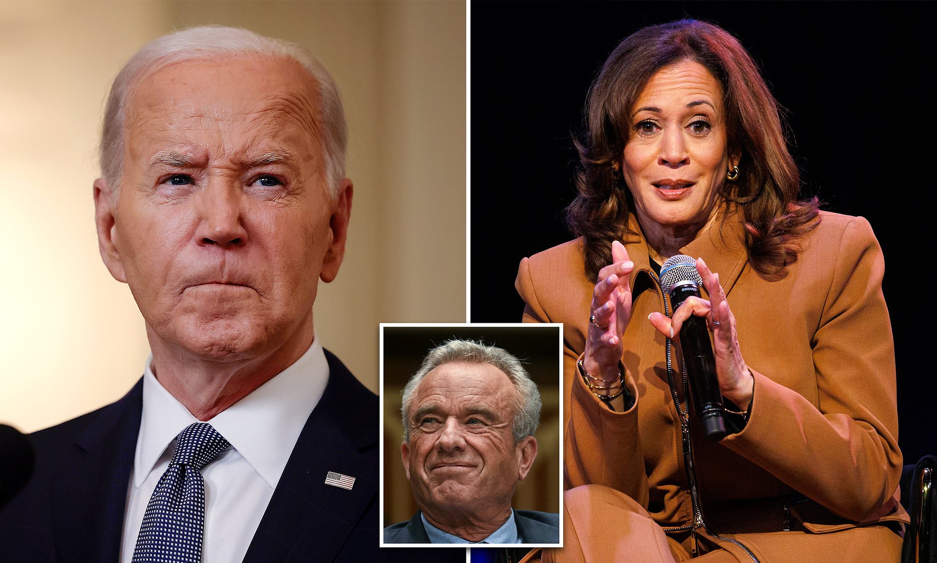 Democrats sink to record-low favorability as voters fail RFK Jr. in new ...
