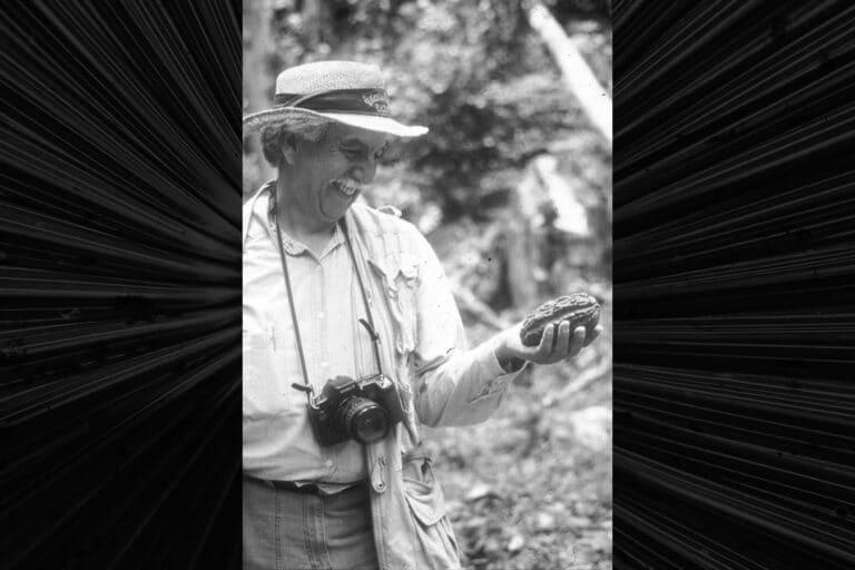 Arturo Gómez-Pompa, biologist who revealed the human history in “virgin ...