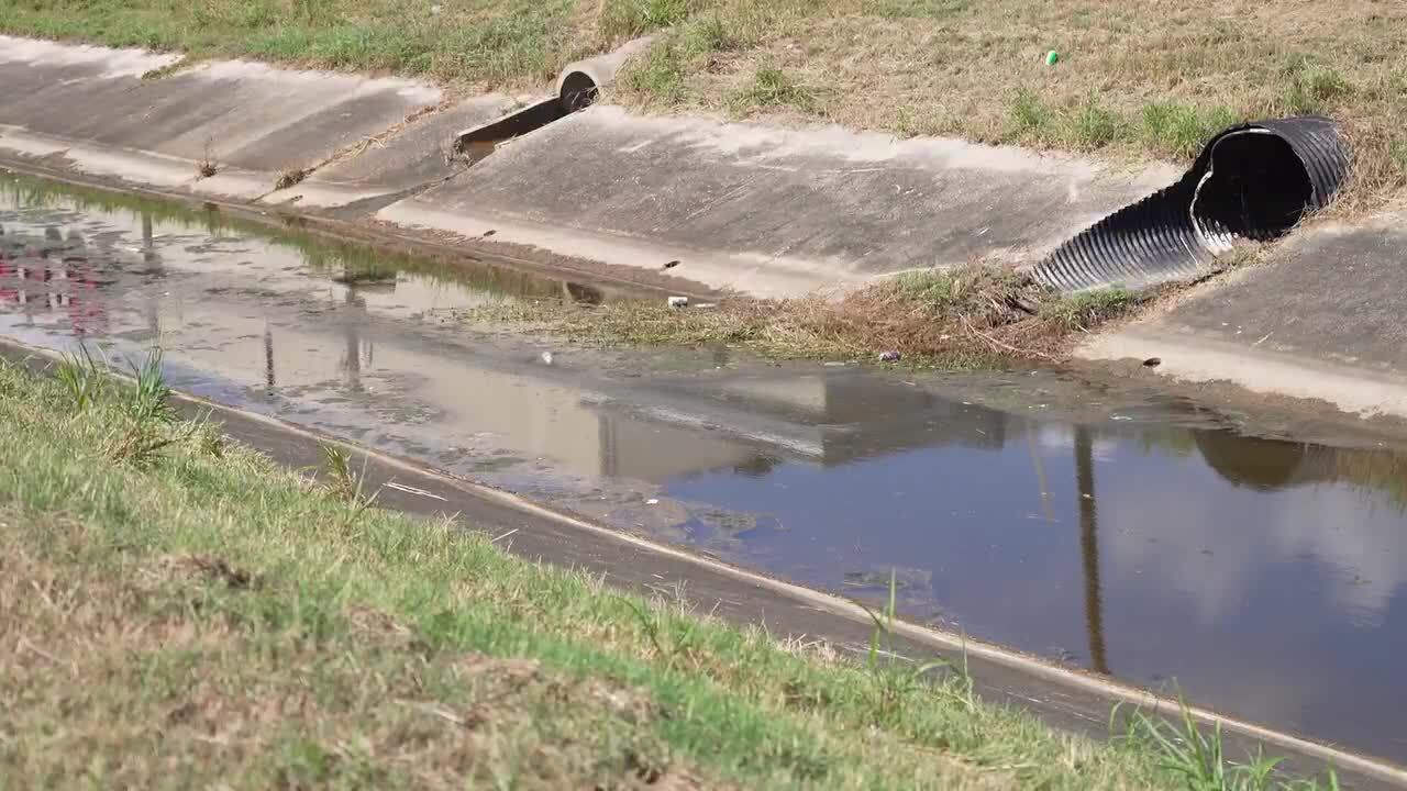 Alligator attacks man near canal in Westwego, friend says