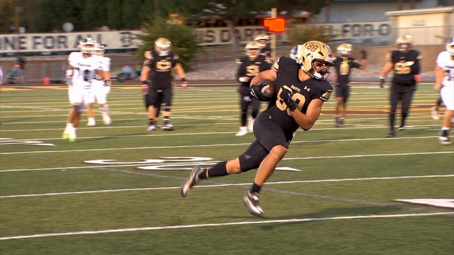 Beehive Blitz- Week 7 Schedule and Scoreboard