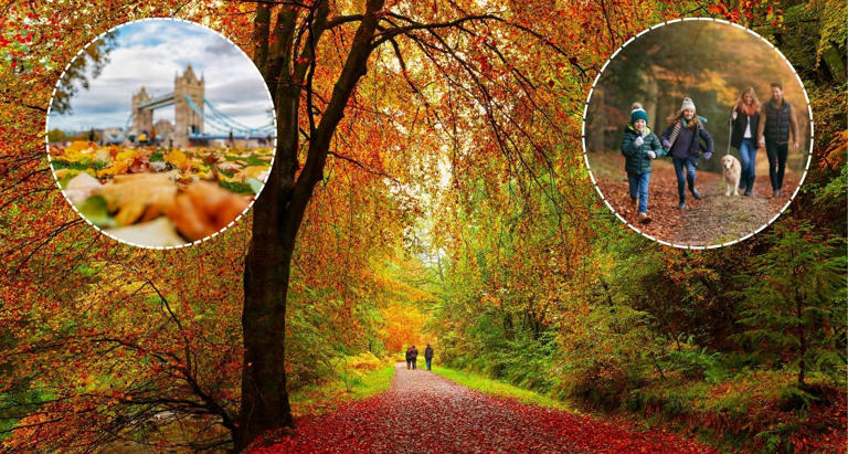 10 fresh days out in the West Midlands perfect to enjoy the autumn air