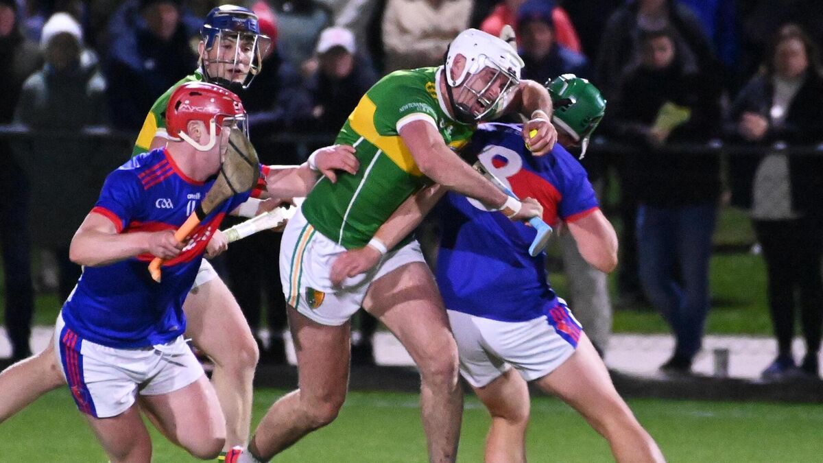 Newtownshandrum retain Cork Premier Senior Hurling status after edging ...