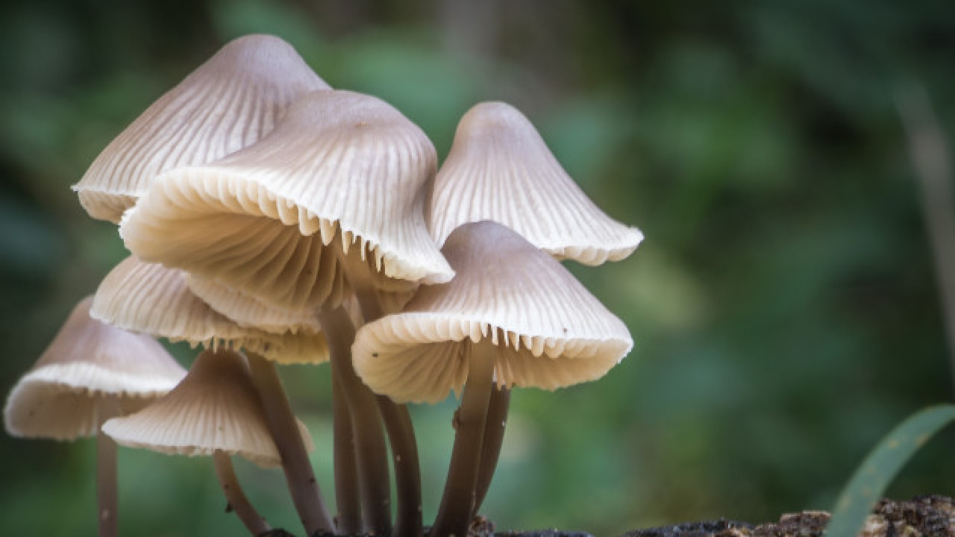 If you can do these 4 everyday things in your 50s, you’re in great ...