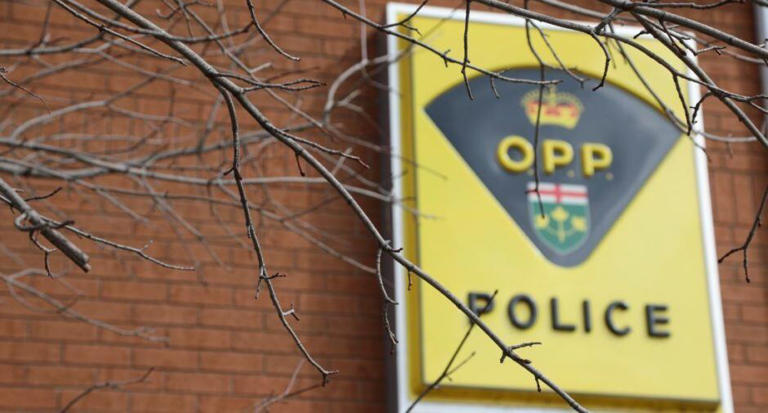Backlog of Ontario police background checks leaves front-line worker ...