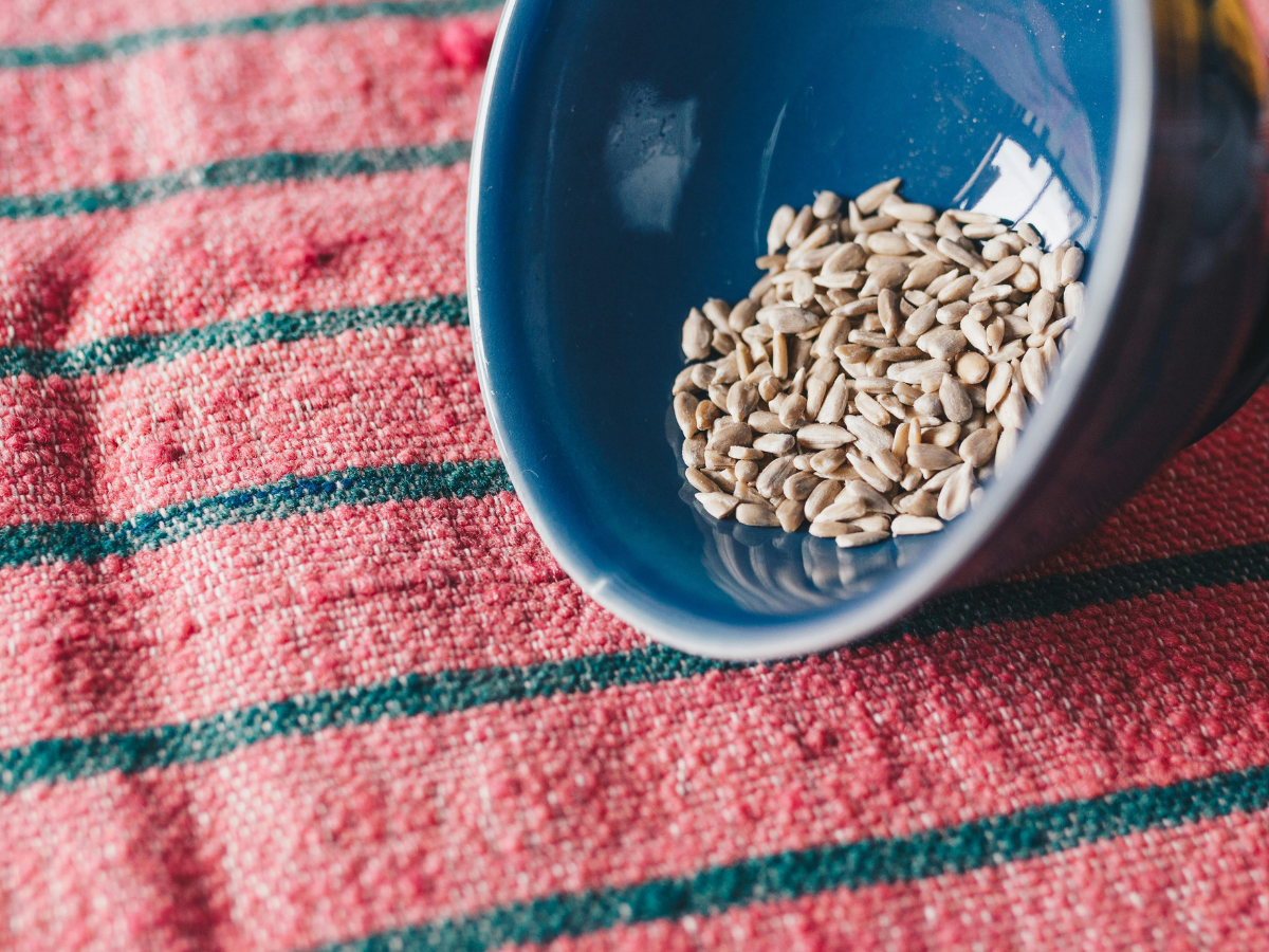 Things To Consider Before Getting A Pet Rabbit