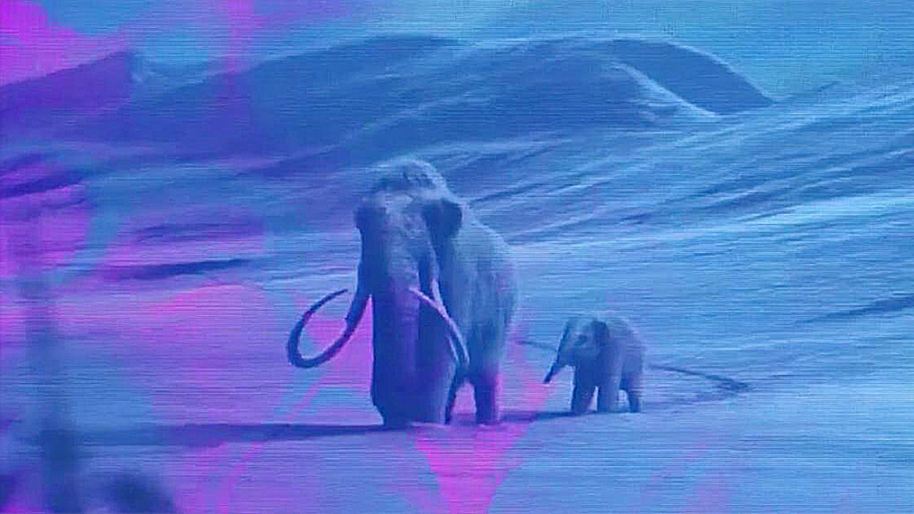 Dallas biotech firm works to revive extinct species