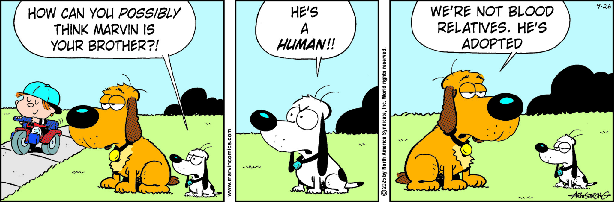 Marvin by Tom Armstrong