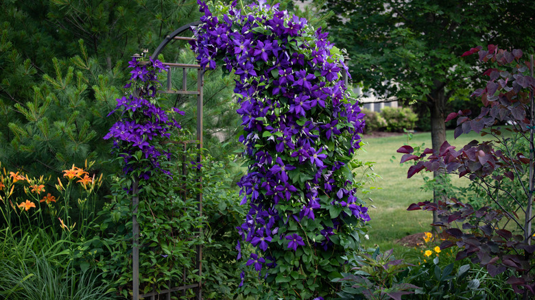 Arbor Vs. Gazebo Vs. Pergola: What's The Difference?