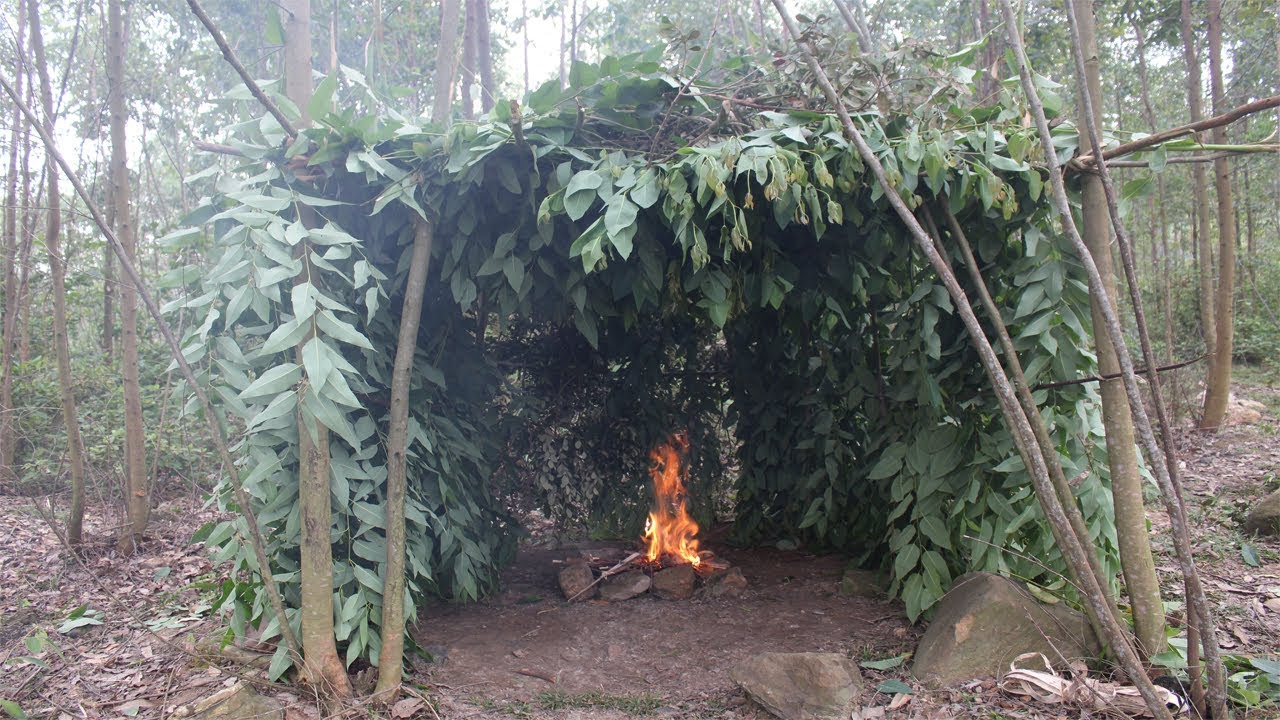 Primitive technology: Build a hut with natural plants