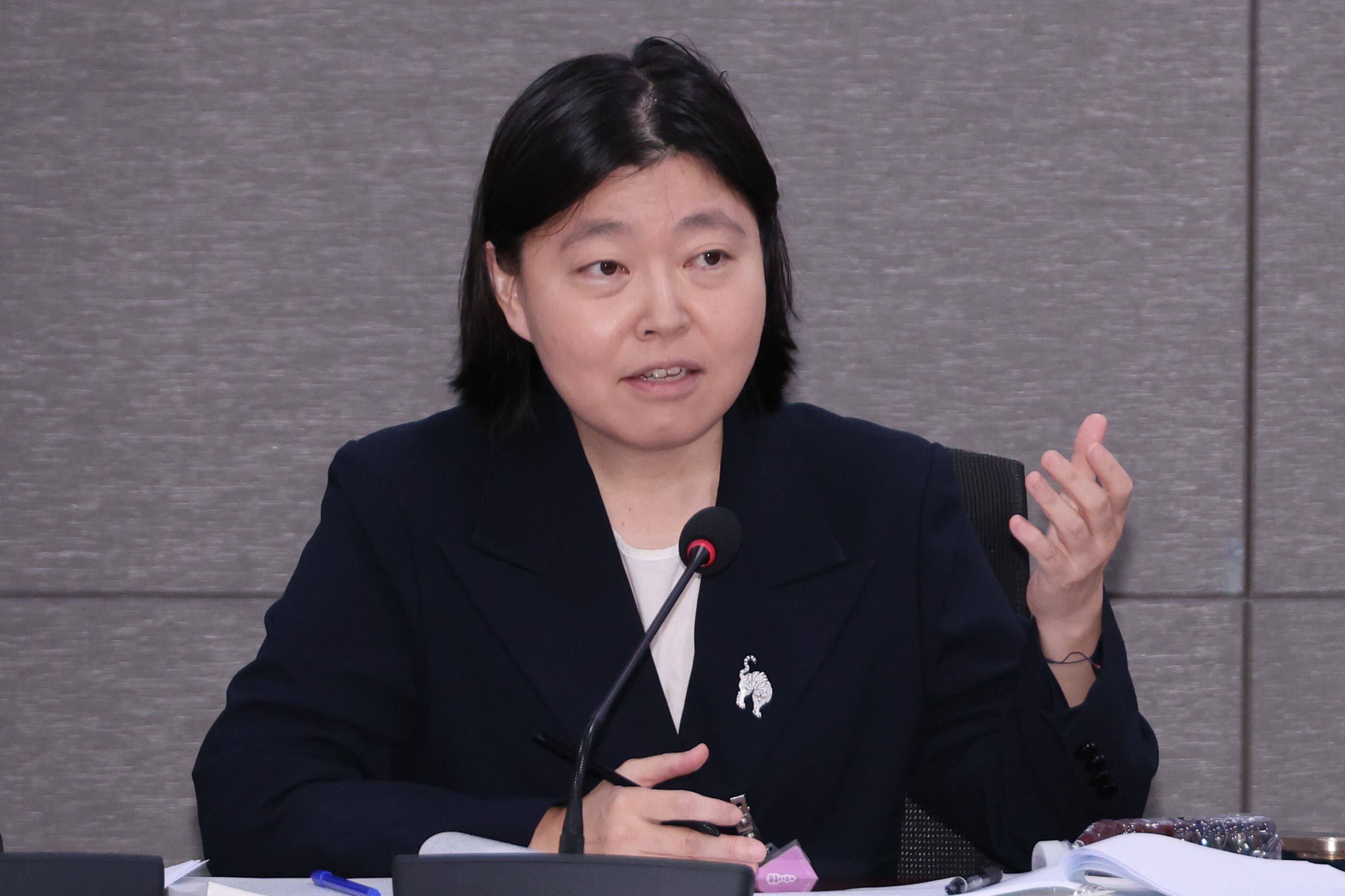 Prosecutor Lim Eun-jeong: Prosecution Decline, 'Judas' Yoon