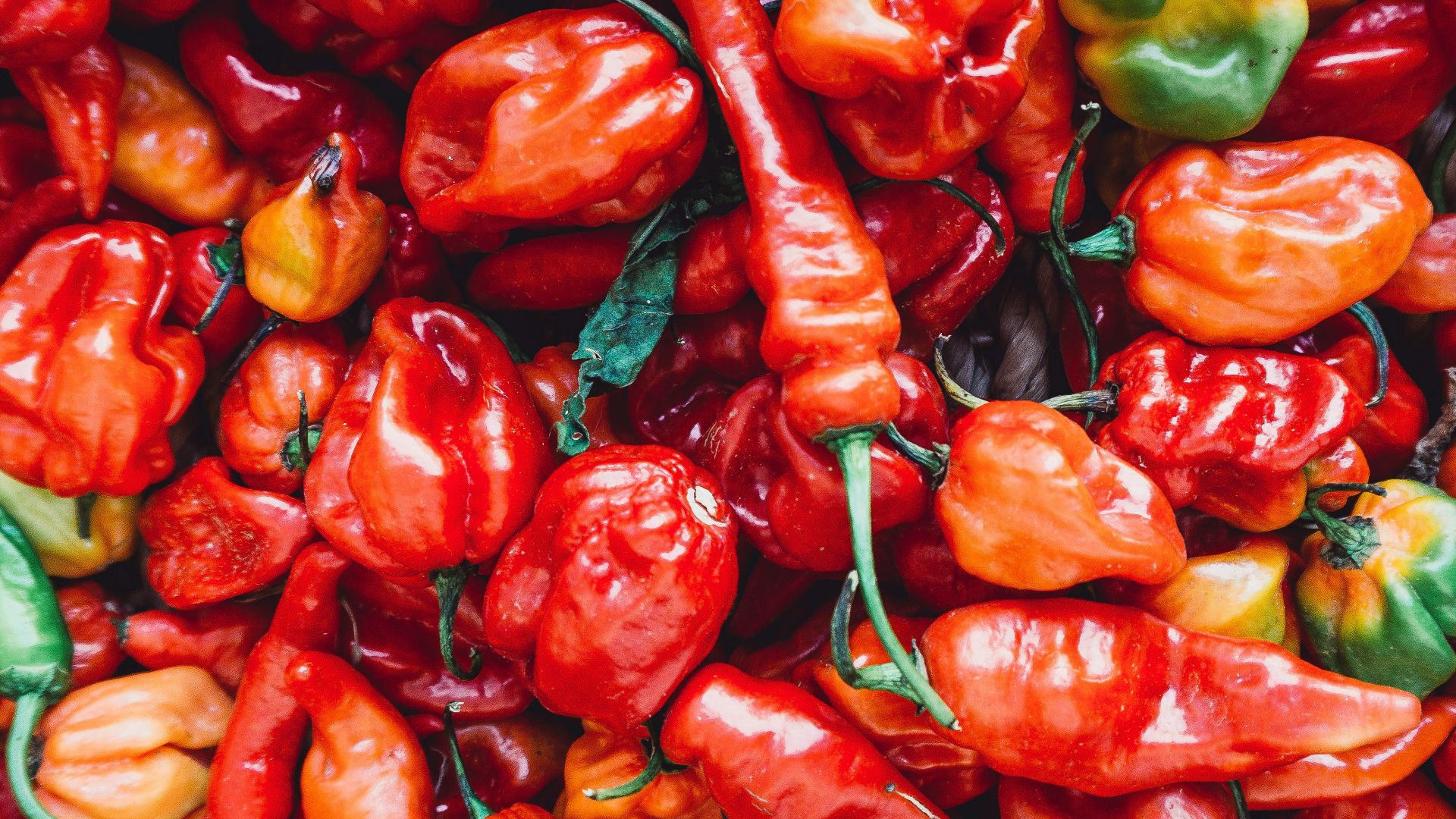 20 Spicy Dishes That’ll Test Your Bravery
