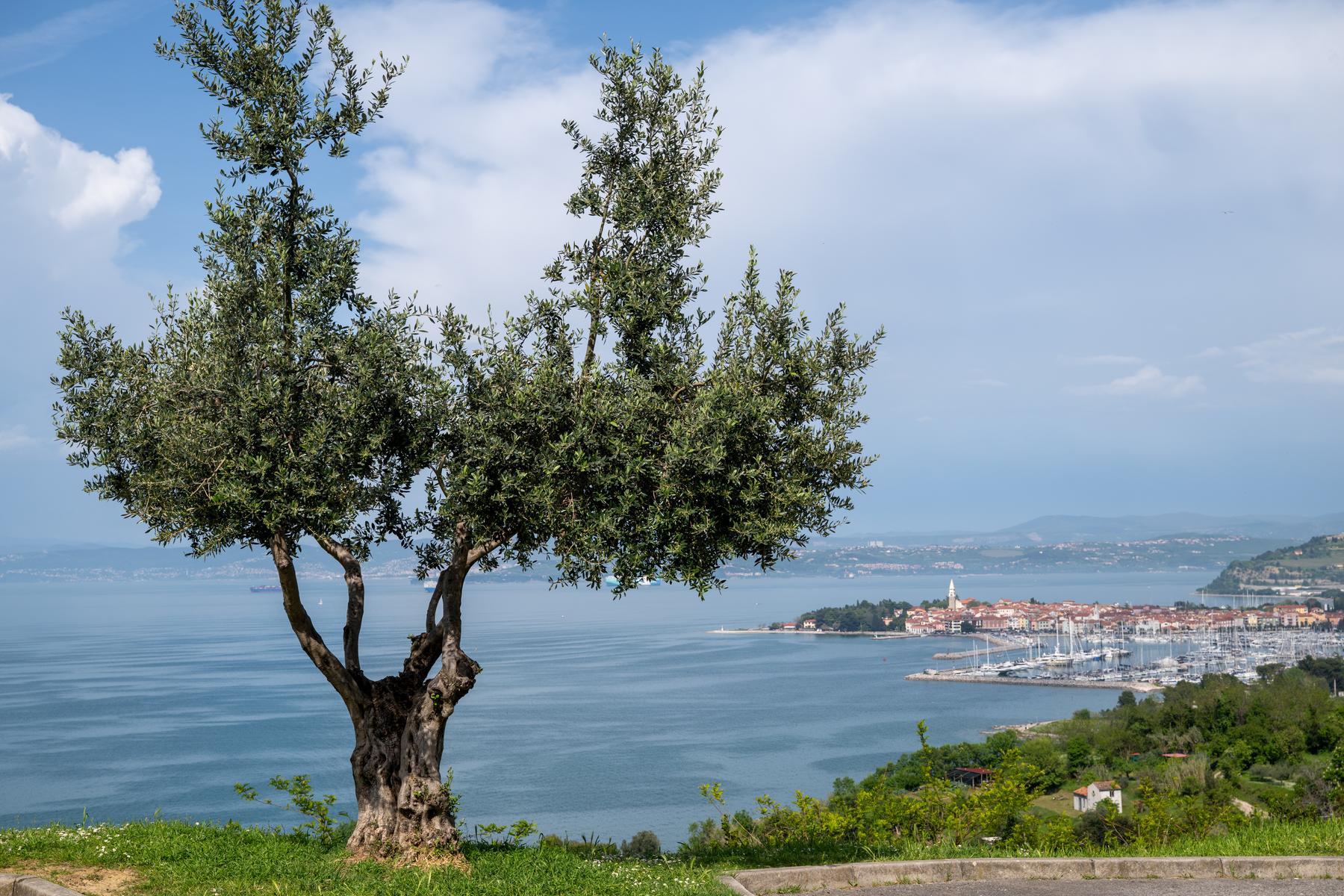 Auszeit am Belvedere: Wo das Meer den Himmel berührt