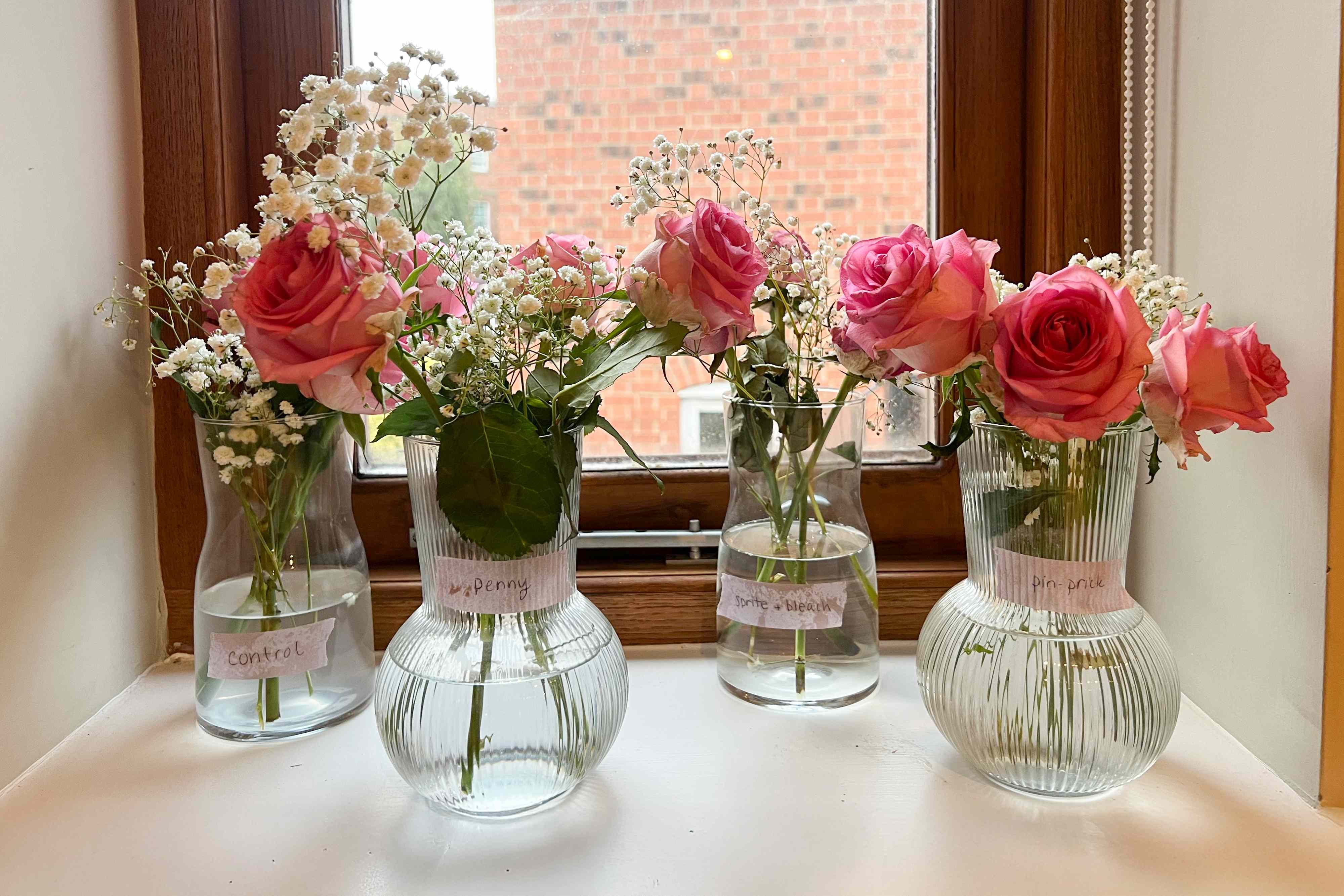 I Tried 4 Popular Tricks to Keep Flowers Fresh — The One That Worked ...