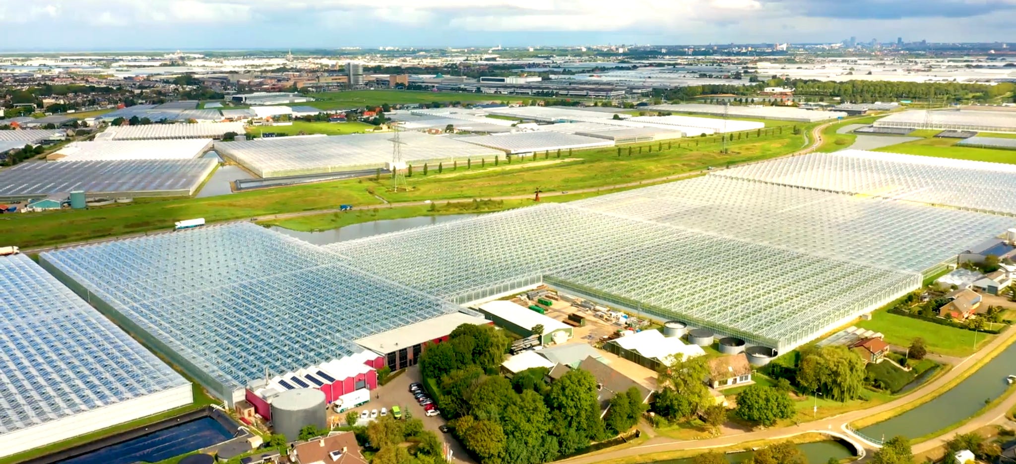 Inside the Netherlands' greenhouse empire. Photos show how it became ...