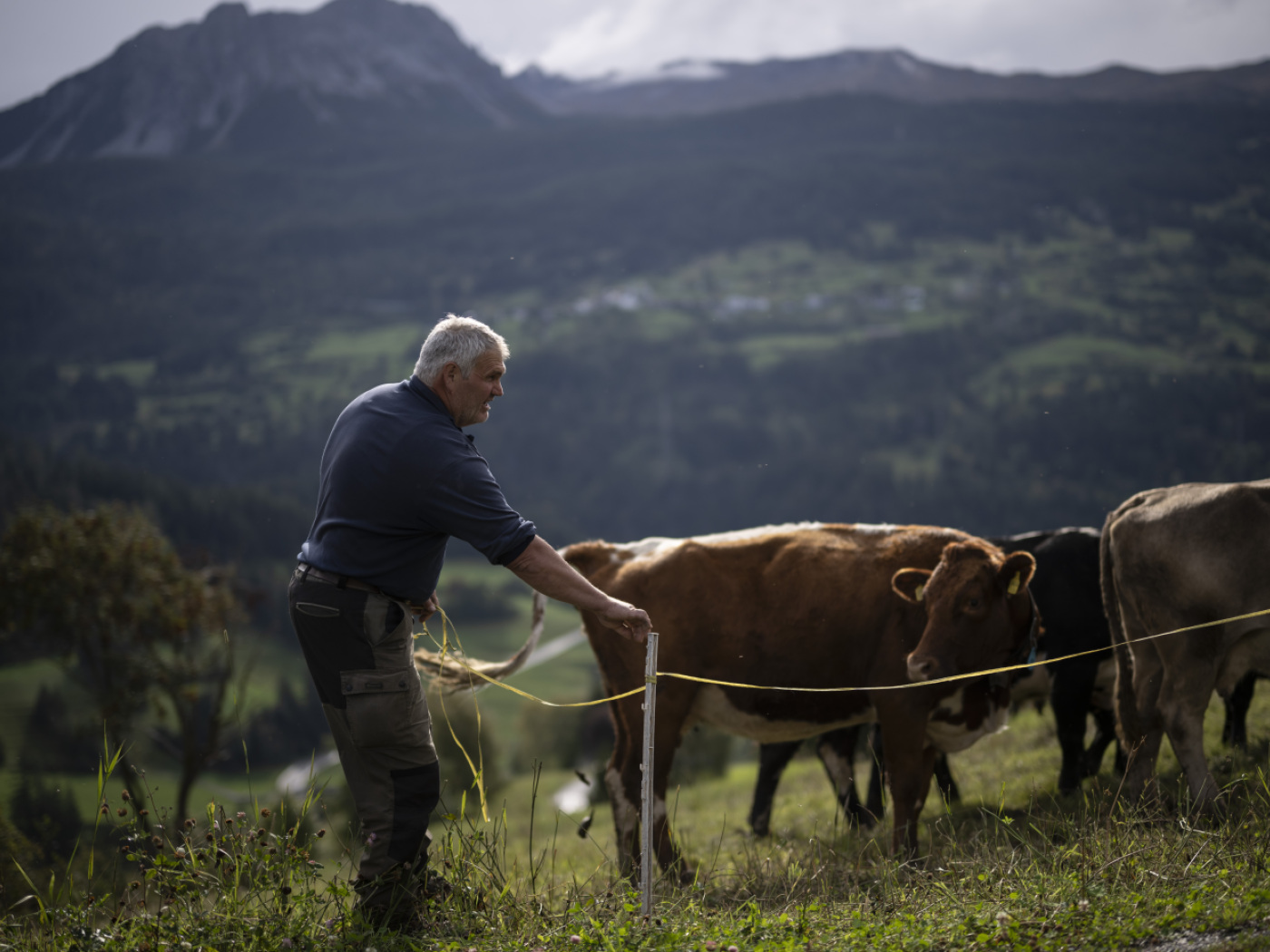 Gehen oder bleiben - das Dilemma der Einwohner von Brienz GR